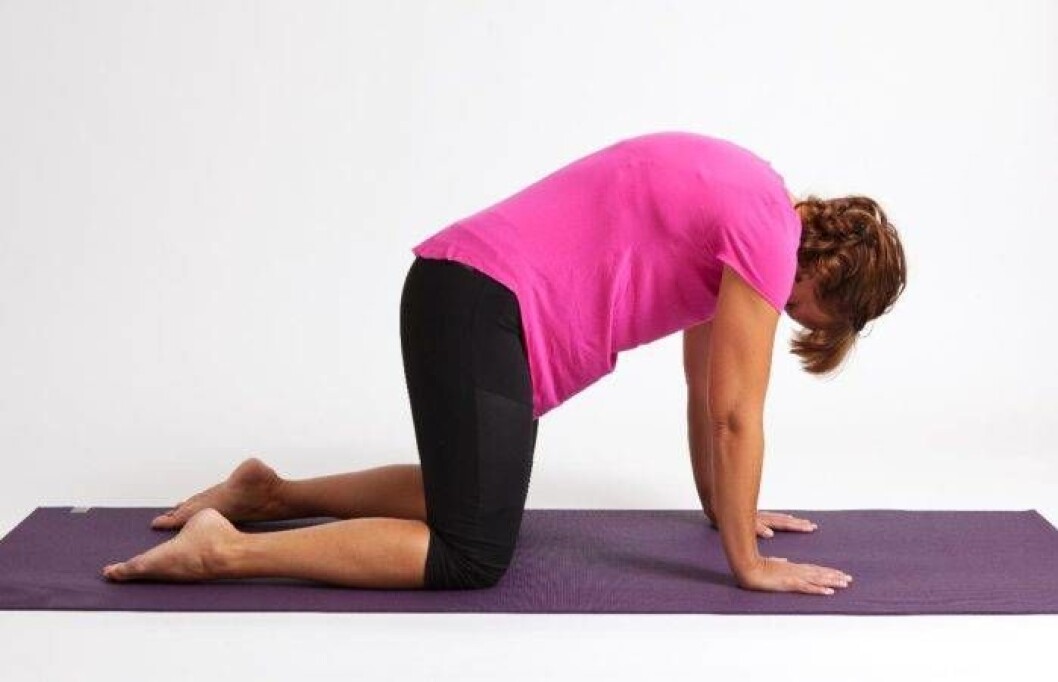 Expertens tips: 4 övningar för en smidigare rygg | Allas