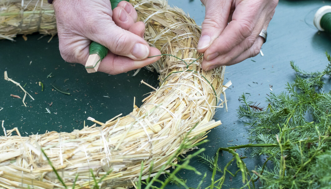 Så här binder du kransar till jul – steg för steg guide | Allas
