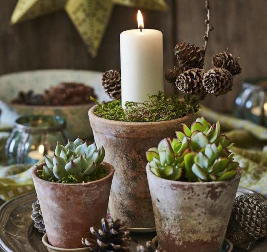 5 fina adventspynt du lätt fixar själv! | Allas