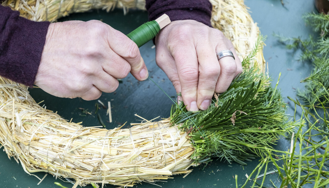 Så här binder du kransar till jul – steg för steg guide | Allas