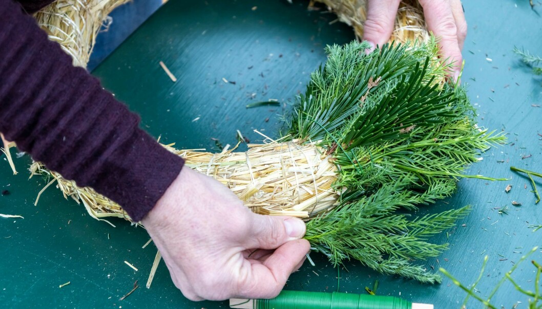 Så här binder du kransar till jul – steg för steg guide | Allas
