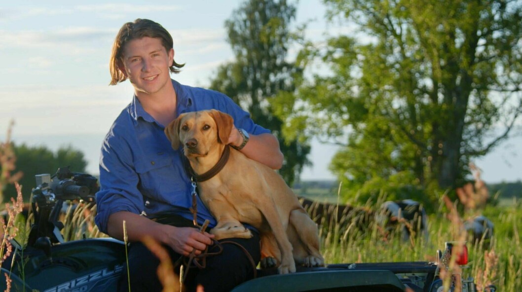 Så gick det sedan för alla par i Bonde söker fru 2022 | Allas