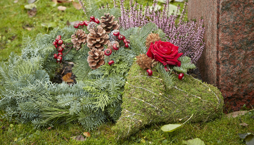 Beskrivning: Så gör du gravkransen själv | Allas