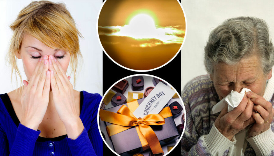 5 anledningar till att du nyser – fast du inte är förkyld | Allas 5 anledningar till att du nyser – fast du inte är förkyld | Allas