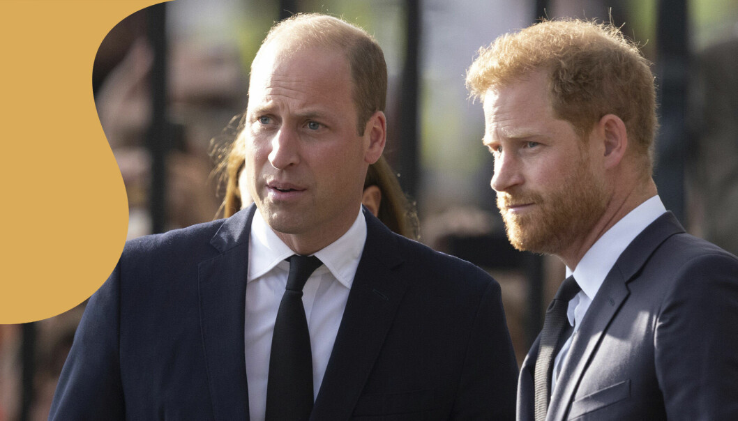 Prins Harry: ”Jag vill ha tillbaka min bror och min far” | Allas